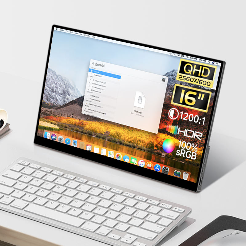 Portable monitor_Anson Electronics